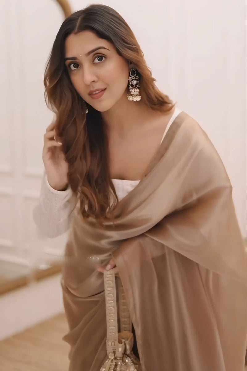 Gorgeous Brown Fancy Silk Saree With Vivacious Blouse Piece – thelotusfab